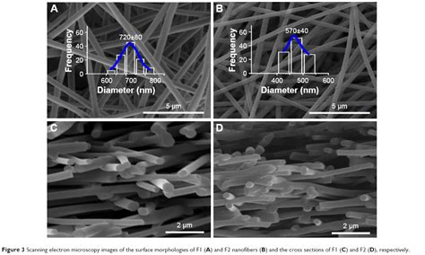 Colon Specific Pulsatile Drug Release Provided By Electrospun Shellac Ijn