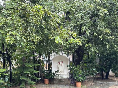 Vishnupriya Sengupta On Linkedin O Come All Ye Faithful Joyful And Triumphant Merry Christmas