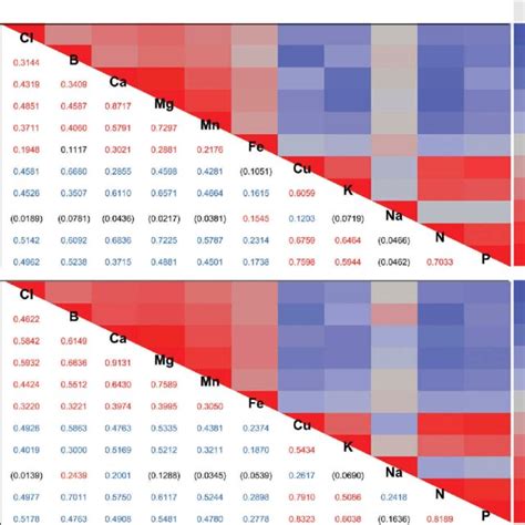 Multivariate Clustering Of Correlations Between Nutrients In Avocado Download Scientific
