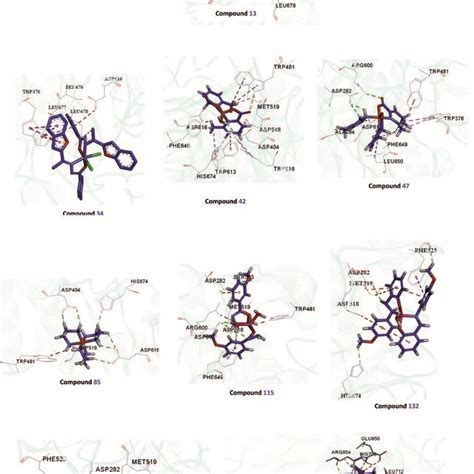 Binding Conformations Of Top Rank Docked Compounds Inside The Active