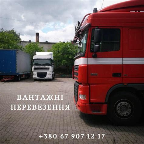 Вантажні перевезення транспорт логістика Україна Умные светофоры в Нидерландах