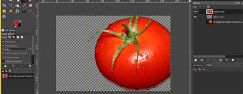 GIMP Floating Selection How To Perform Floating Selection In GIMP