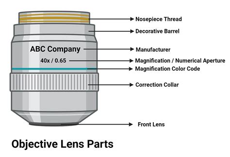 Objective Lens Types At Latonya Langley Blog