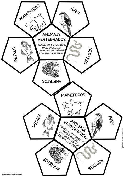 Ciências Animais Vertebrados