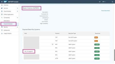 Master The Sap Btp Cockpit Simple Steps Anyone Can Follow