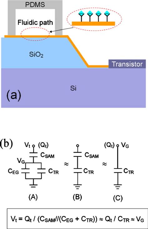 Modified Ion Sensitive Field Effect Transistor Sensors Having An
