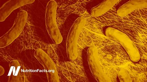 C Difficile Superbugs In Meat