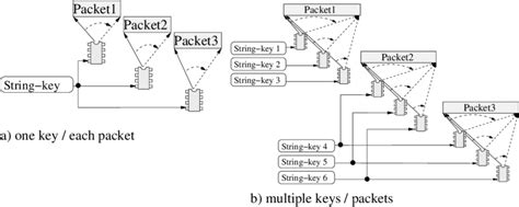 12 Multi Packet Processing Techniques Download Scientific Diagram