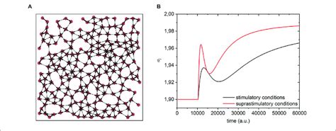 Features Of The Phenomenological Model Of Beta Cell Population A A Download Scientific