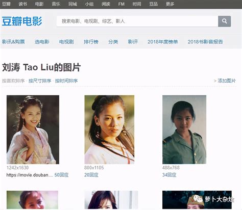 Python入门教程！手把手教会你爬取网页数据 Python基础教程