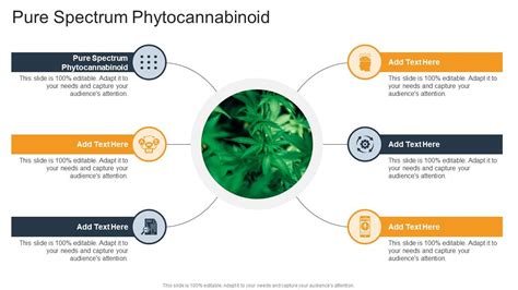 Pure Spectrum Phytocannabinoid In Ppt Powerpoint Presentation Slide Templates Cpp PPT Presentation