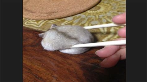 노래방에서 보고싶다 불렀다 Youtube