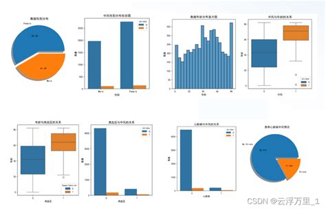 基于lightgbm的中风患者预测streamlit Roc Csdn博客
