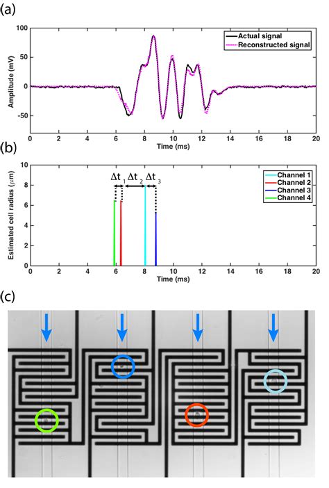 Microfluidic Platform With Multiplexed Electronic Detection For Spatial Tracking Of Particles