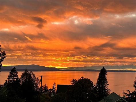 Fiery Sunset Rbellingham