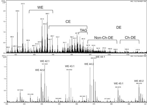 Lipidomics And Metabolomics Mass Spectrometry Research And Education