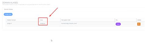 How To Create Alias Domain On Cyberpanel