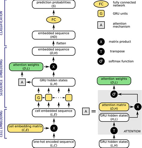 Structure And Functioning Of The Recurrent Neural Network Decoder The