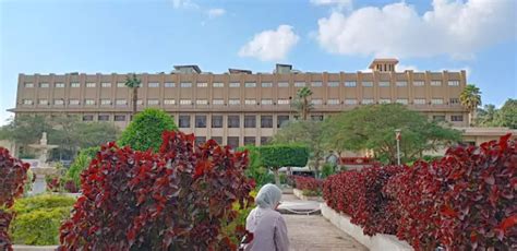 Cairo University Faculty Of Medicine 2025 26 Fees Ranking