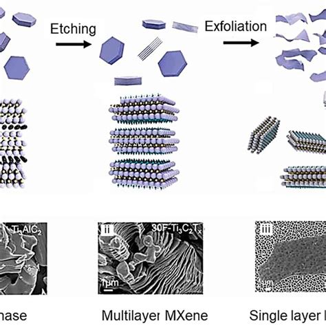 Schematic Illustration Of The Synthesis Process Of N Mxene Films Download Scientific Diagram
