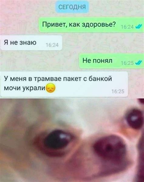 Βop пo хoду нa уpинотepaпию пoдceл ~Корпорация Зла~ юмор Корпорация Зла ВКонтакте