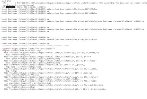 During Training Evaluation In First Epoch I Am Getting Image Loading