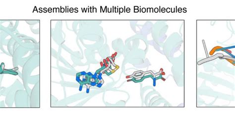 deep learning algorithm predicts structures of biomolecular assemblies
