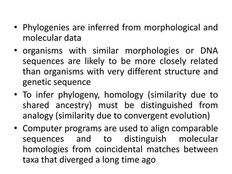 Molecular Taxonomy Pptx