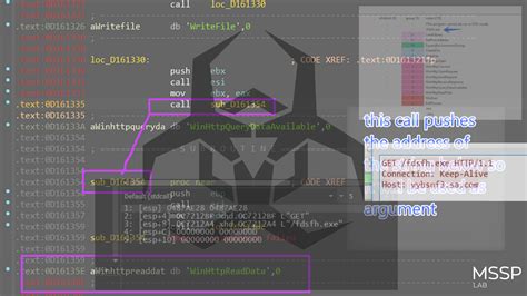 Malware Analysis Report Stealc Stealer Part 1 Mssp Research Lab