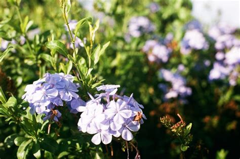 Depth Of Field Real And Simulated K Squared Ramblings