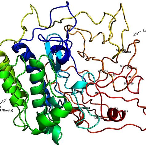 A Rmsd Plot Of Protein Ligand And Complex B Rmsf Plot Of Protein Download Scientific