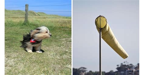 Обявиха жълт код в 17 области за силен вятър утре