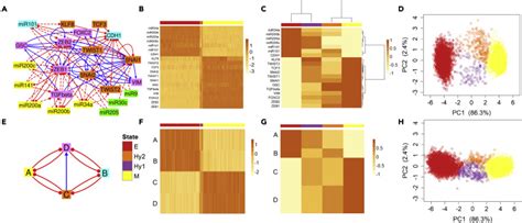 A Data Driven Optimization Method For Coarse Graining Gene Regulatory