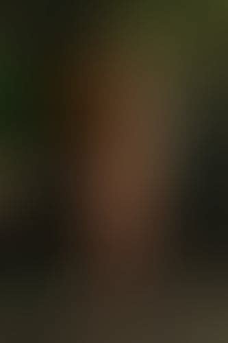 Diana Prince Bondage Dianaprince