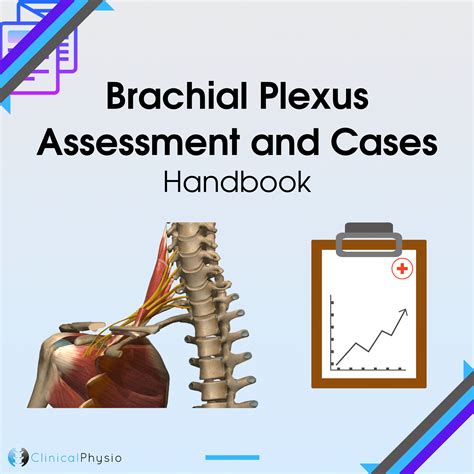 Brachial Plexus Assessment And Cases Handbook Clinical Physio