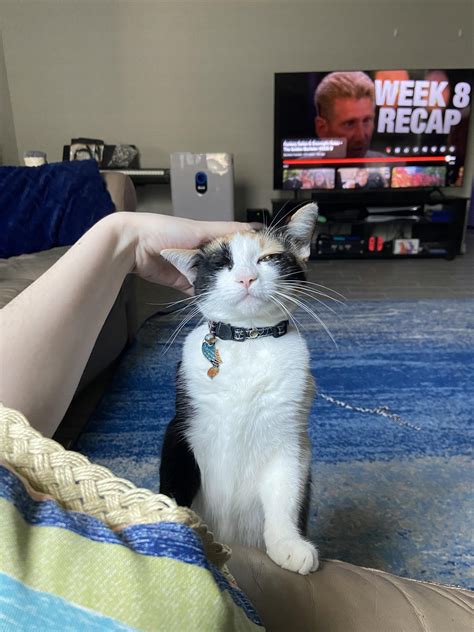 Ruby Says Good Morning R Calicokittys