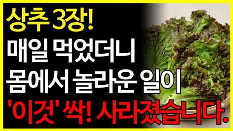 상추를 매일 먹었더니 몸안에 이것 싹 사라졌습니다 상추의 놀라운 효능 Youtube