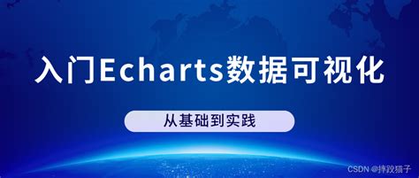 入门echarts数据可视化：从基础到实践echarts Csdn专栏