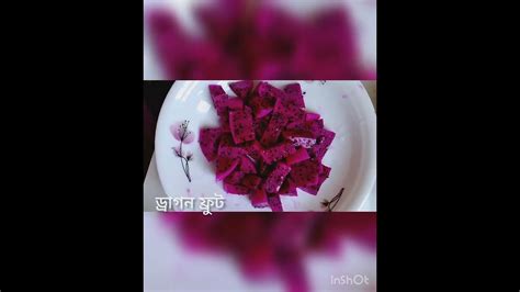 রেসিপি ২ সাগুদানা ড্রাগন ফলের পুডিং Youtube