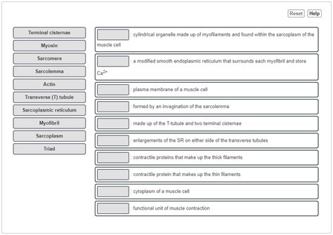 Solved Reset Help Terminal Cisternae Cylindrical Organelle