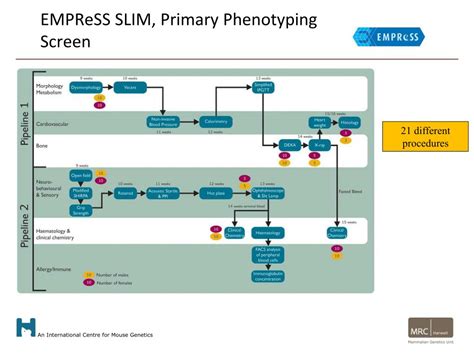 Ppt Mining Phenotype Databases To Identify Mouse Models Of Clinical Relevance Powerpoint