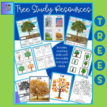 Tree Study Unit Activity Resource By Coffee At Night TPT