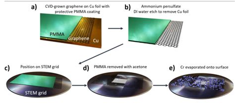 Schematic Illustrating Sample Preparation Workflow A Graphene Was