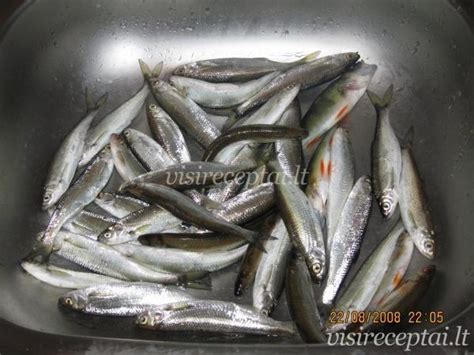 Keptos Seliavos Receptas Receptailt