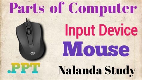Parts Of Computer Mouse Input Device Youtube