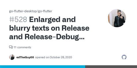 Enlarged And Blurry Texts On Release And Release Debug Builds · Issue 528 · Go Flutter Desktop