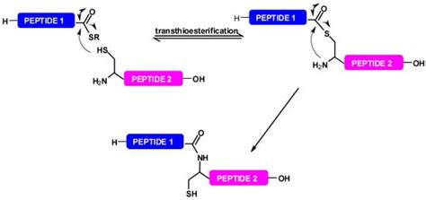 Selenium In Peptide Chemistry