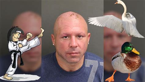 Man Kicks Swans And A Duck While Practicing Karate Weirld News