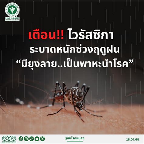 ไวรัสซิก้า โรงพยาบาลส่งเสริมสุขภาพตำบลบางรักน้อยหมู่ 5 Facebook