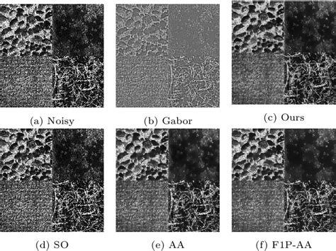 Figure 3 From Variable Order Fractional 1 Laplacian Diffusion Equations For Multiplicative Noise